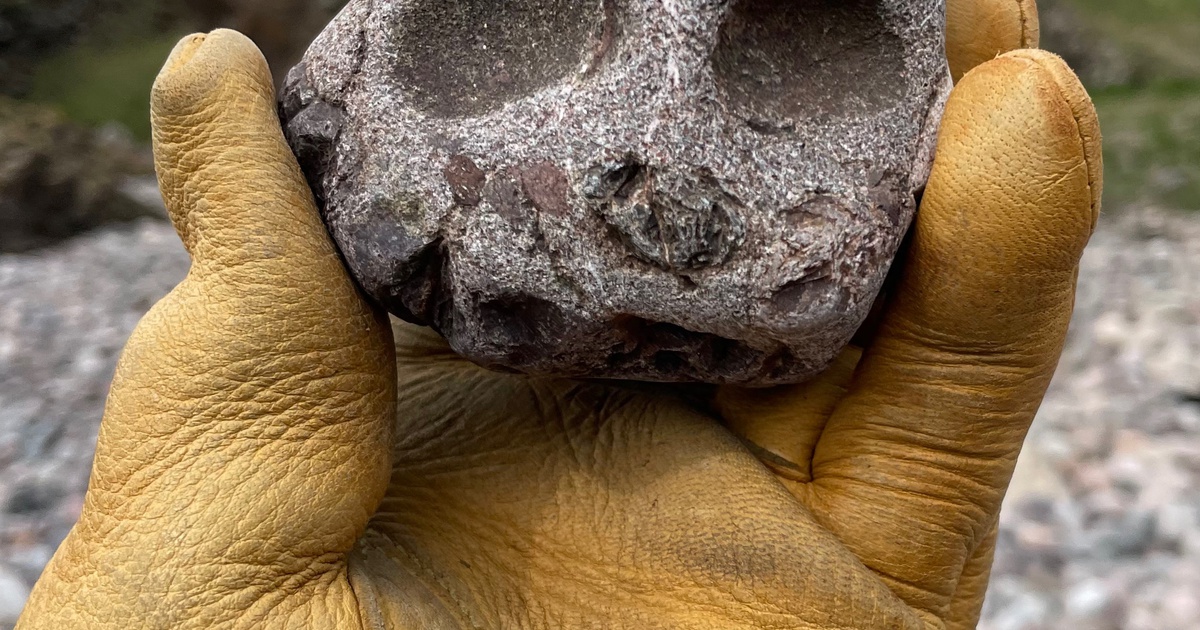 Peter Liversidge - Exhibitions | Ingleby Gallery