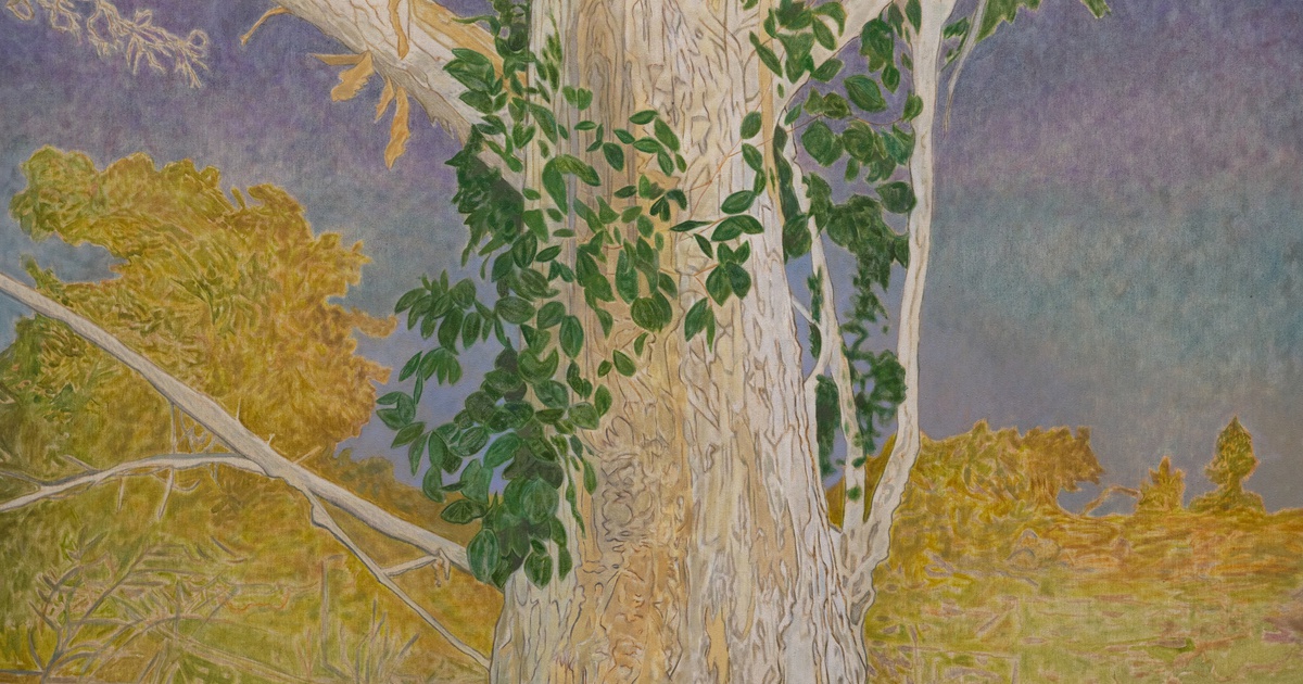 Hayley Barker - Exhibitions | Ingleby Gallery