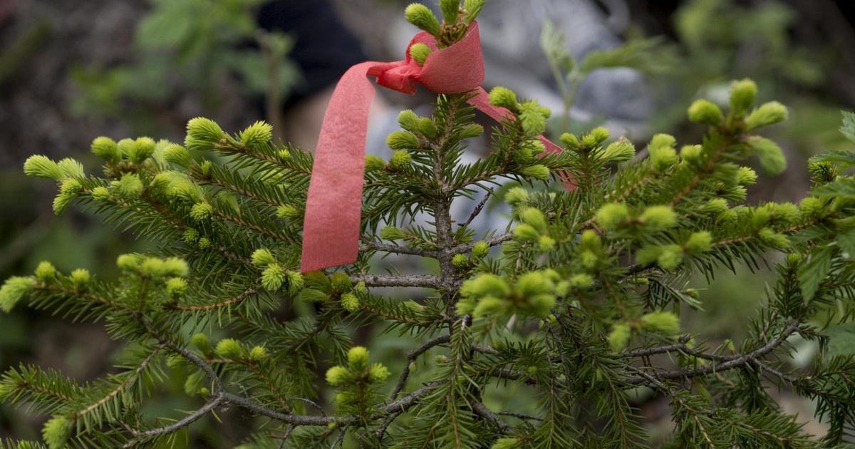 Future Library | Handover Ceremony 2024 | Ingleby Gallery